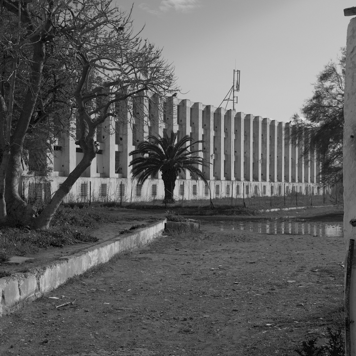 Lycée International Alexandre Dumas, Alger | Terreneuve | architectes ...
