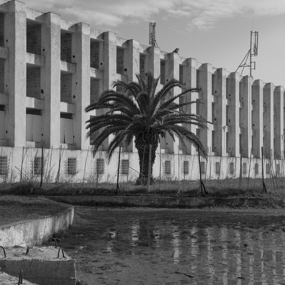 Lycée International Alexandre Dumas, Alger | Terreneuve | architectes ...